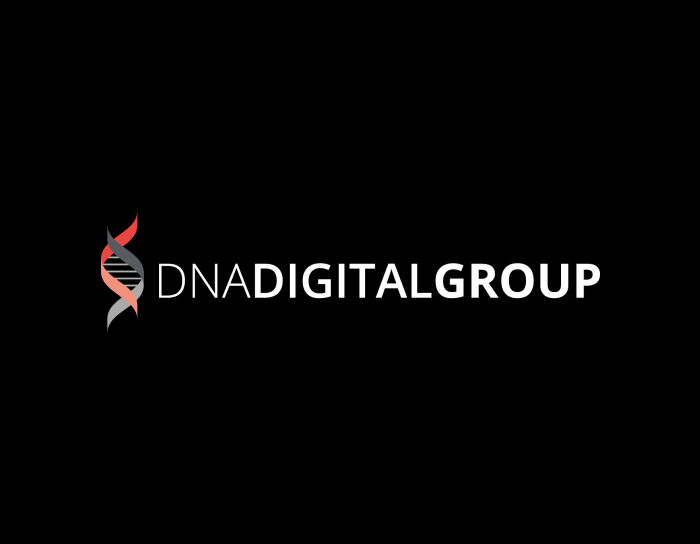 Showcase Portfolio Triumphs | DNA Digital Group